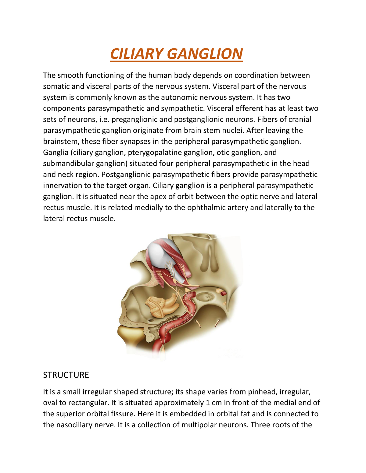 Ciliary Ganglion Ciliary Ganglion The Smooth Functioning Of The Human