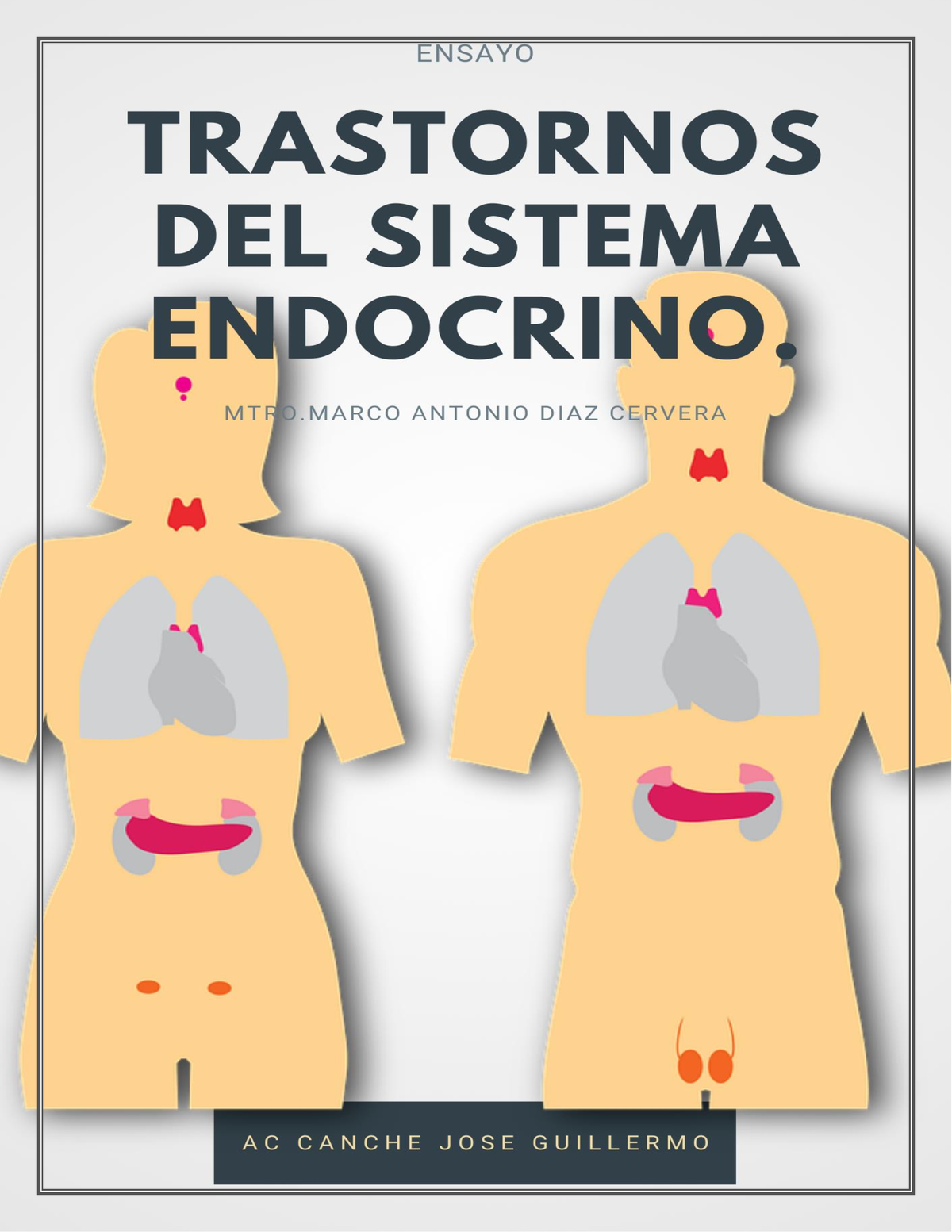 Trastornos Del Sistema Endocrino 2407 Ac Canche Jose Guillermo