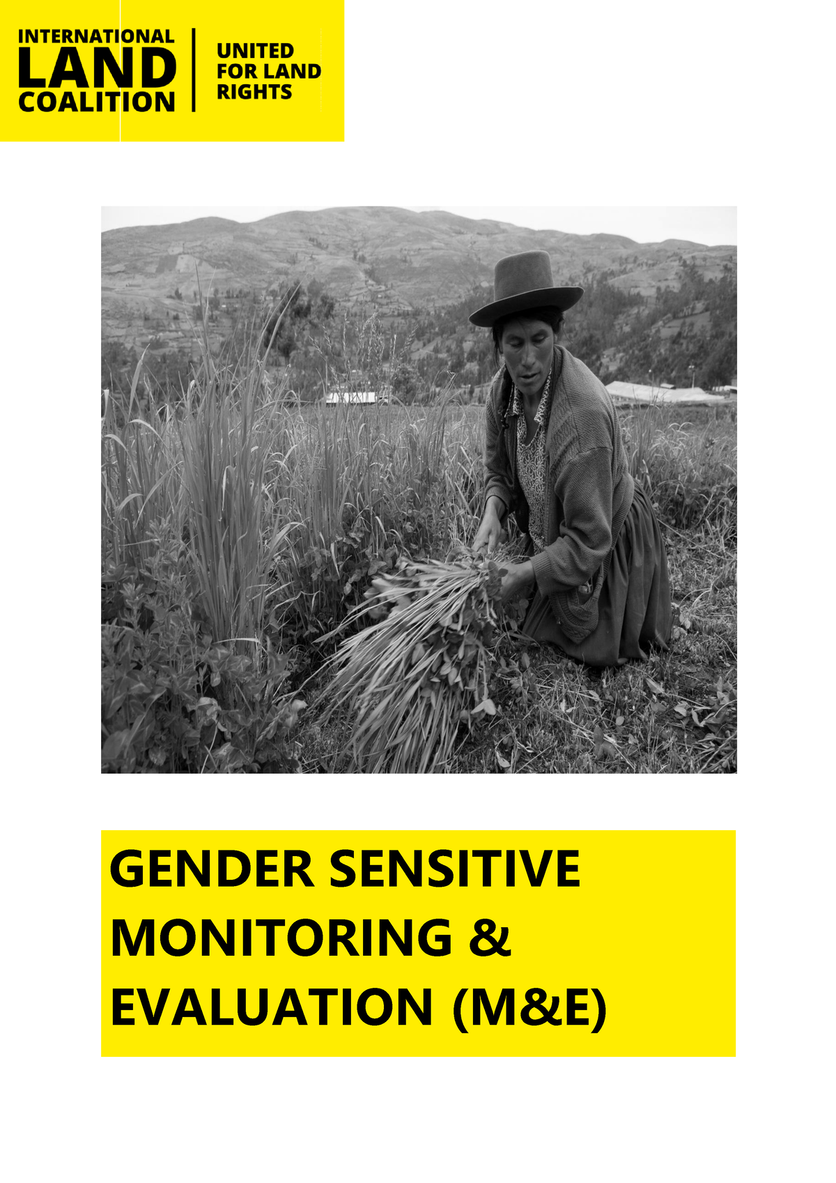 Gender Sensitive Monitoring And Evaluation En Gender Sensitive