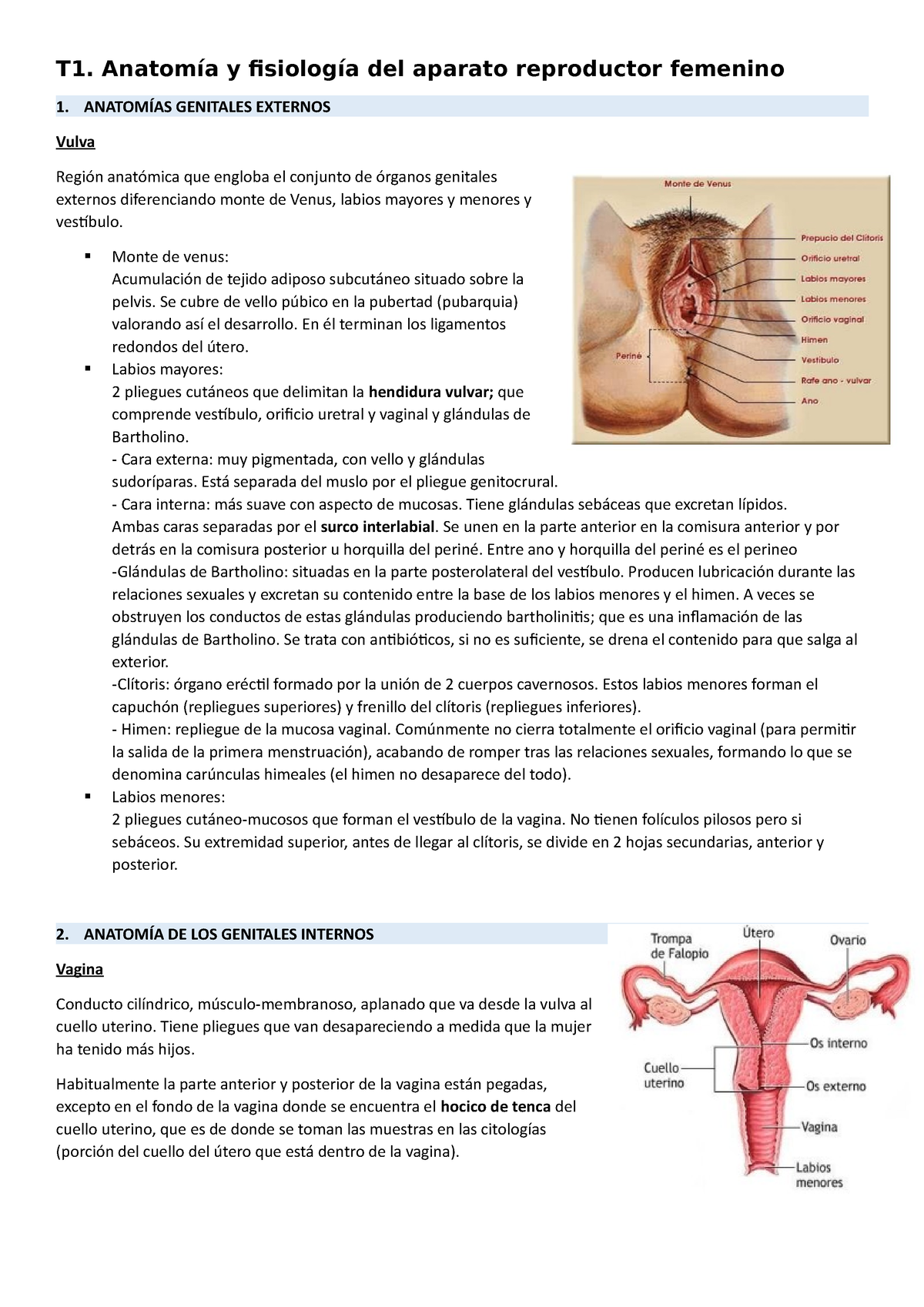 T1 Anatomía Y Fisiología Del Aparato Reproductor Femenino T1