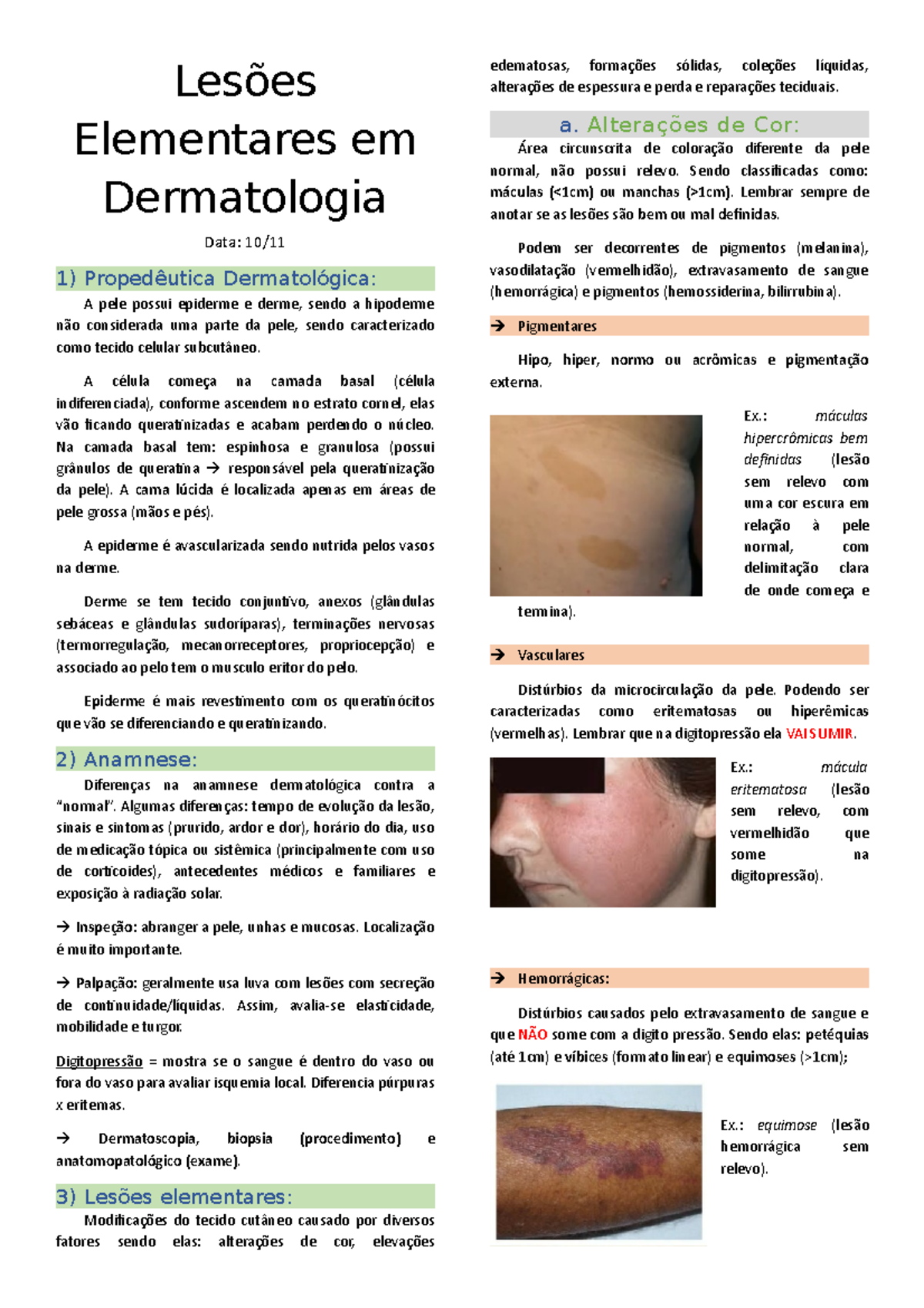 Lesões Elementares Em Dermatologia Lesões Elementares Em Dermatologia