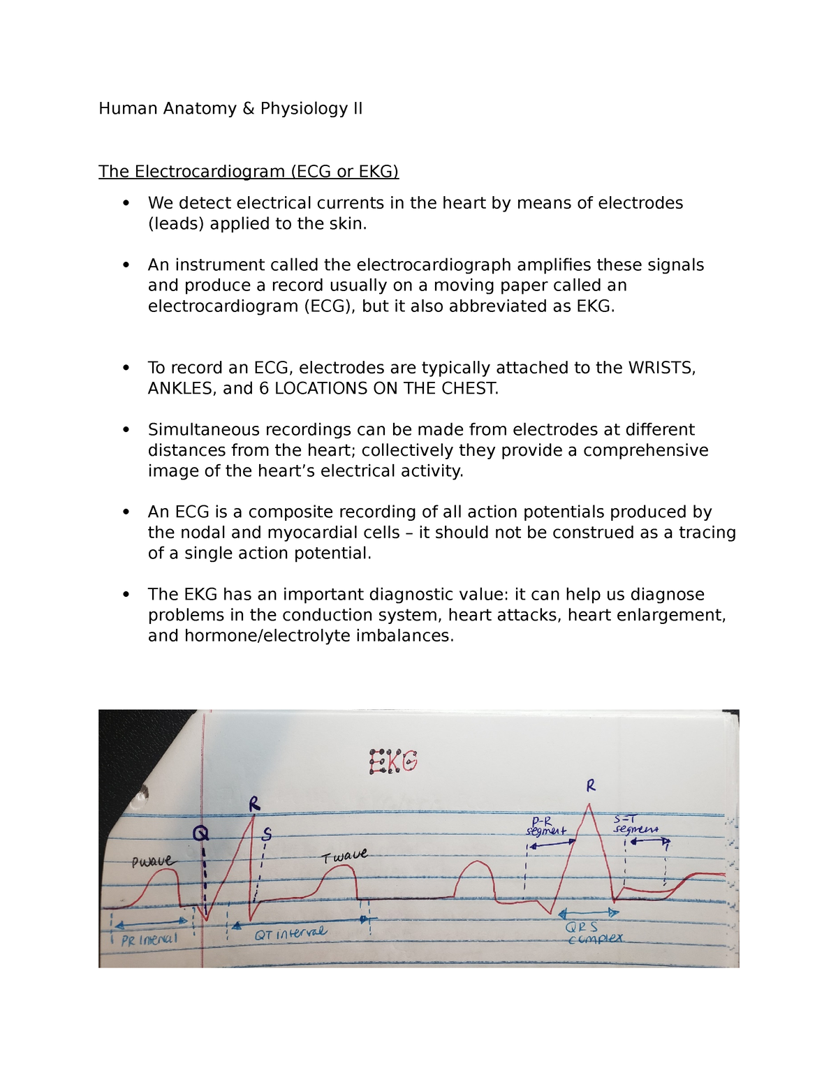 Ap2 The Electrocardiogram Human Anatomy And Physiology Ii The