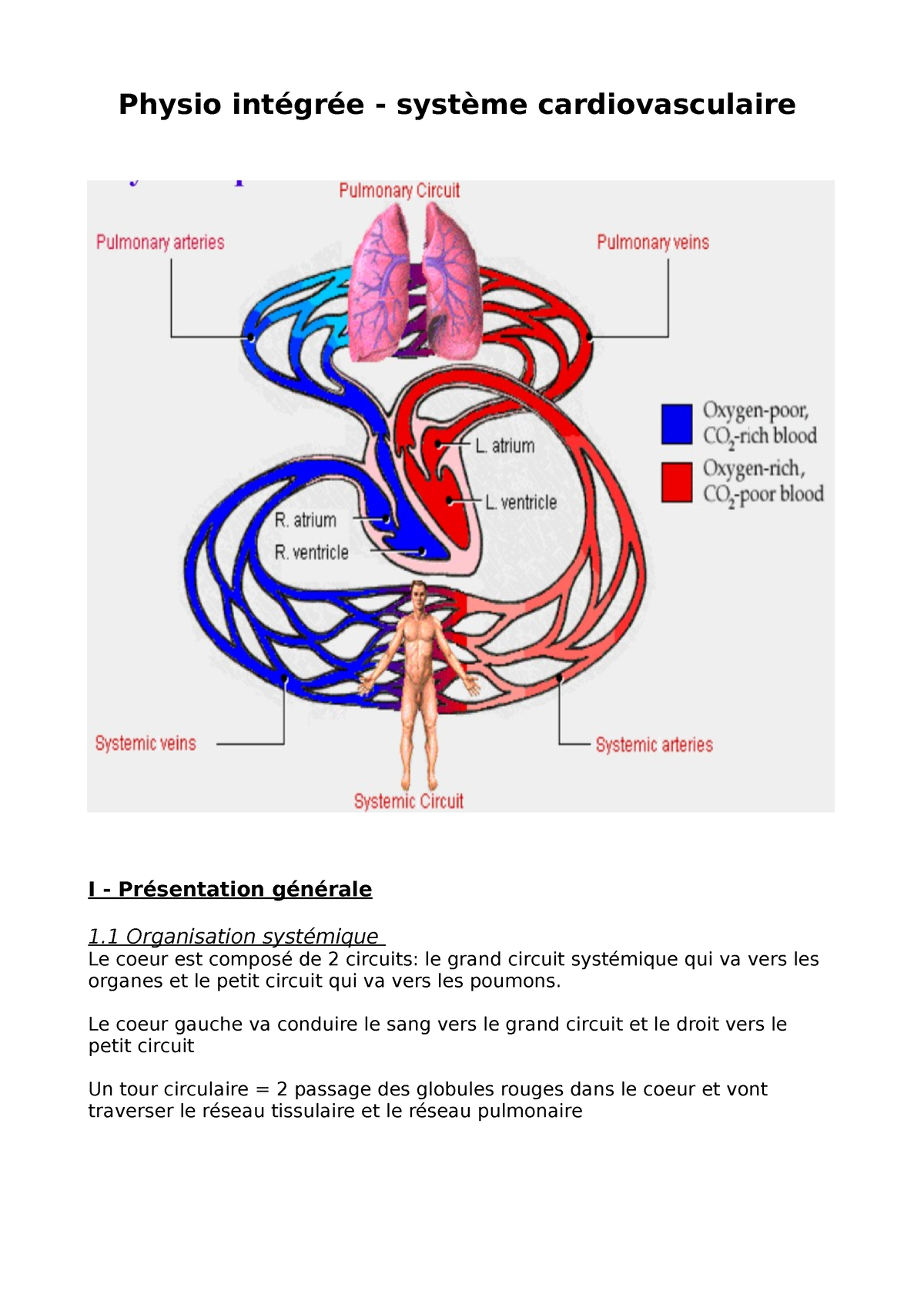 Physiologie Cardio Vasculaire Physio Intégrée Système