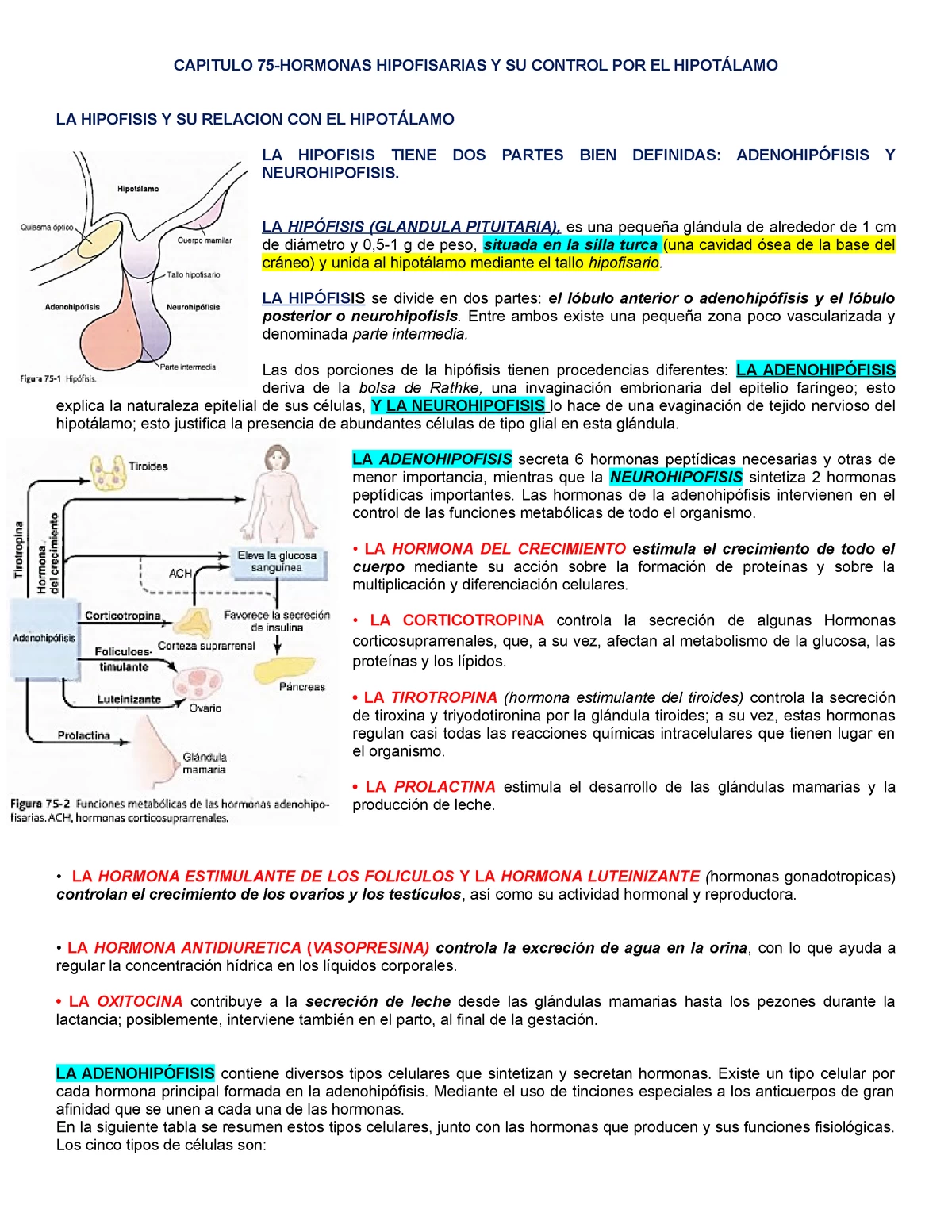 CapÍtulo 76 Resumen Guyton E Hall Fisiologia Medica 13 Ed