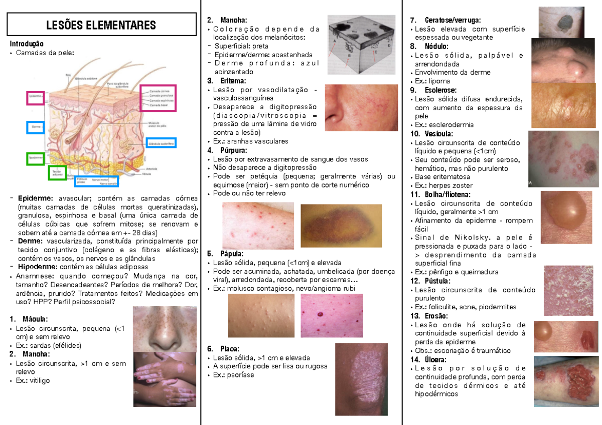 Lesoes Elementares Pdf Elementares Camadas Da Pele 2 Mancha 7