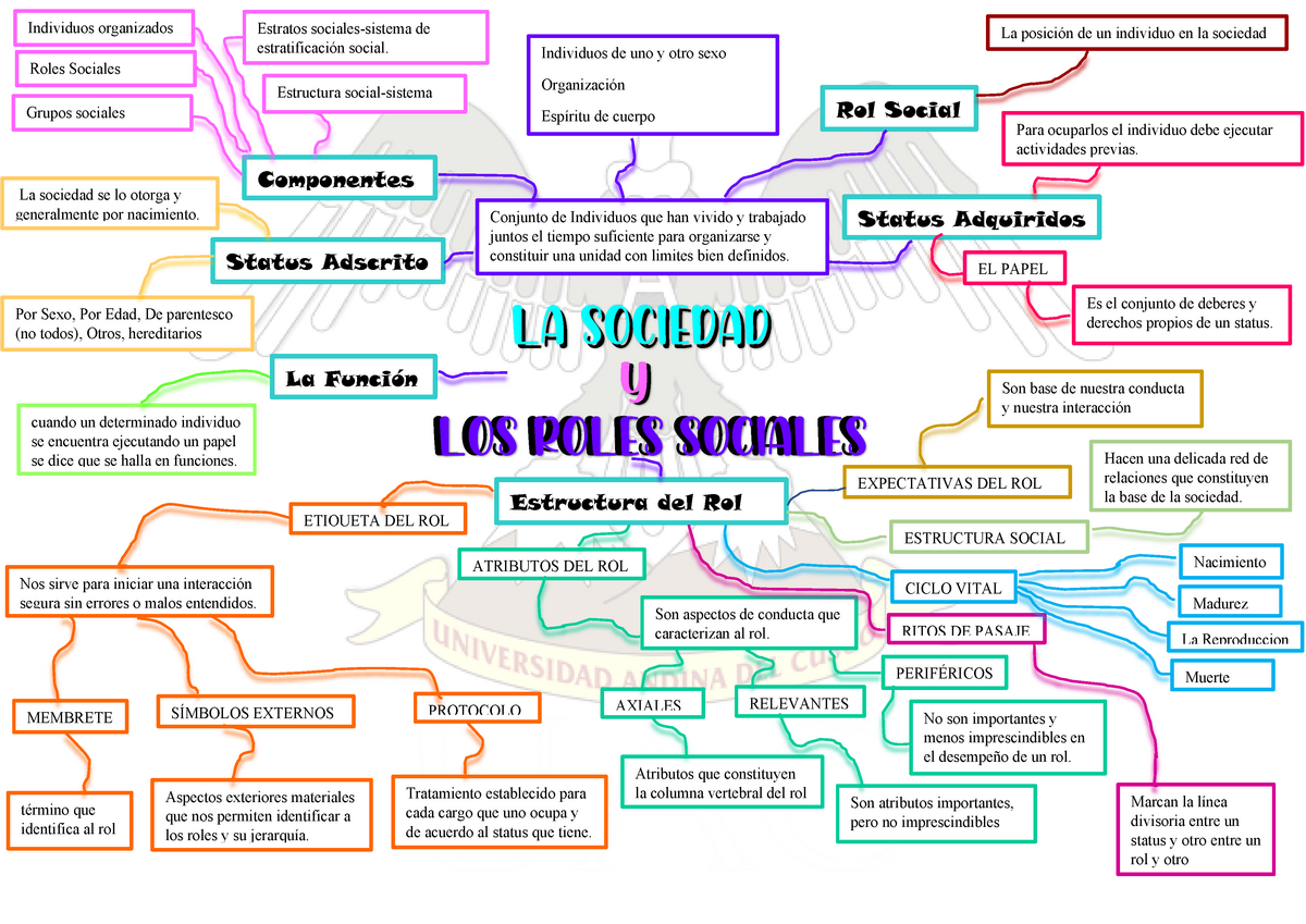 Arriba 34 Imagen Mapa Mental De Roles Abzlocalmx