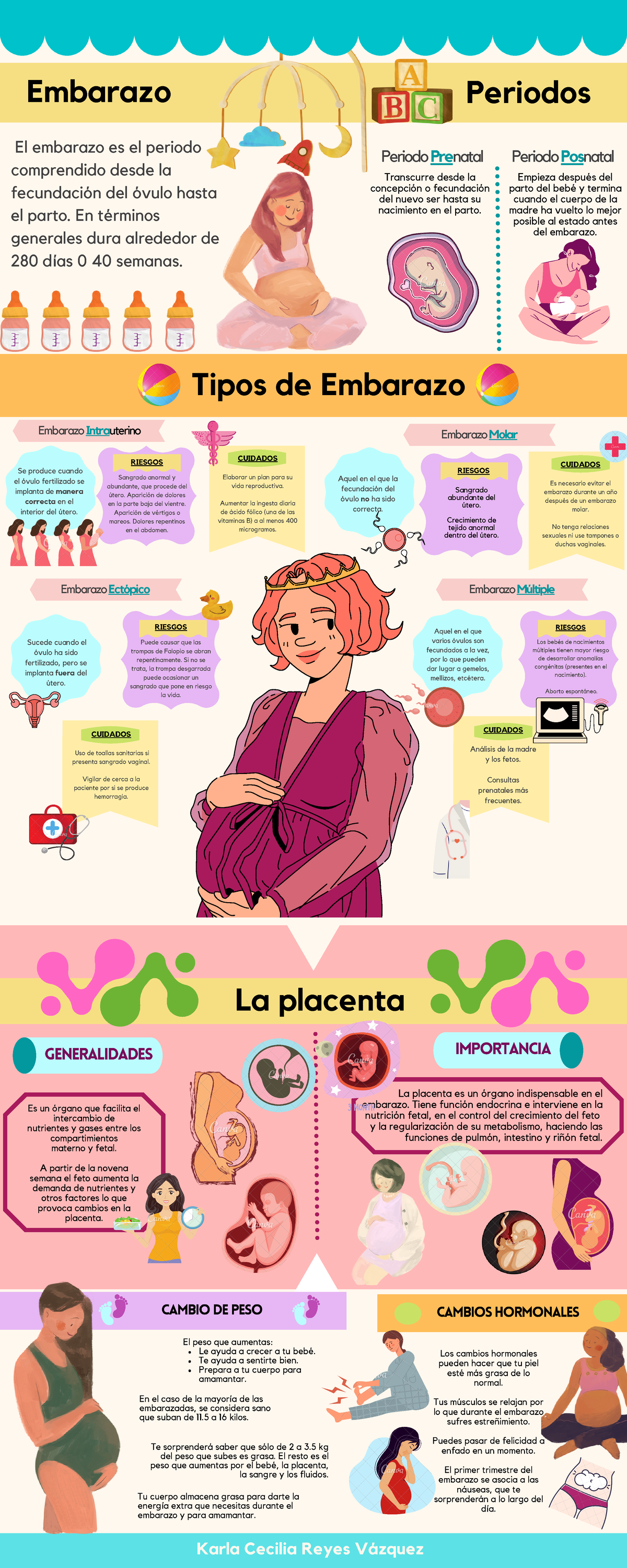 Infografia Pdf El Embarazo Cuidado De La Salud 58 Off