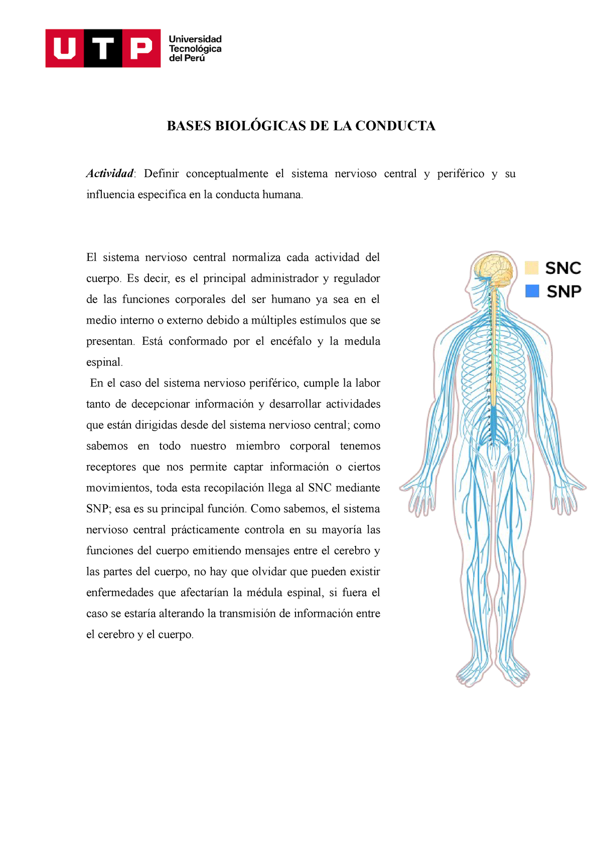 S01bases Biológicas De La Conducta Ejercicios Obligatorios Bases