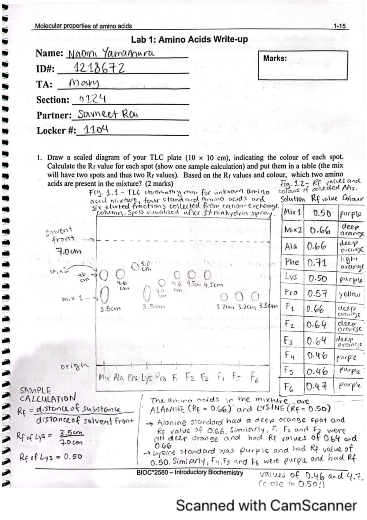 Biochem Lab 1 Write Up Bioc 2580 Studocu