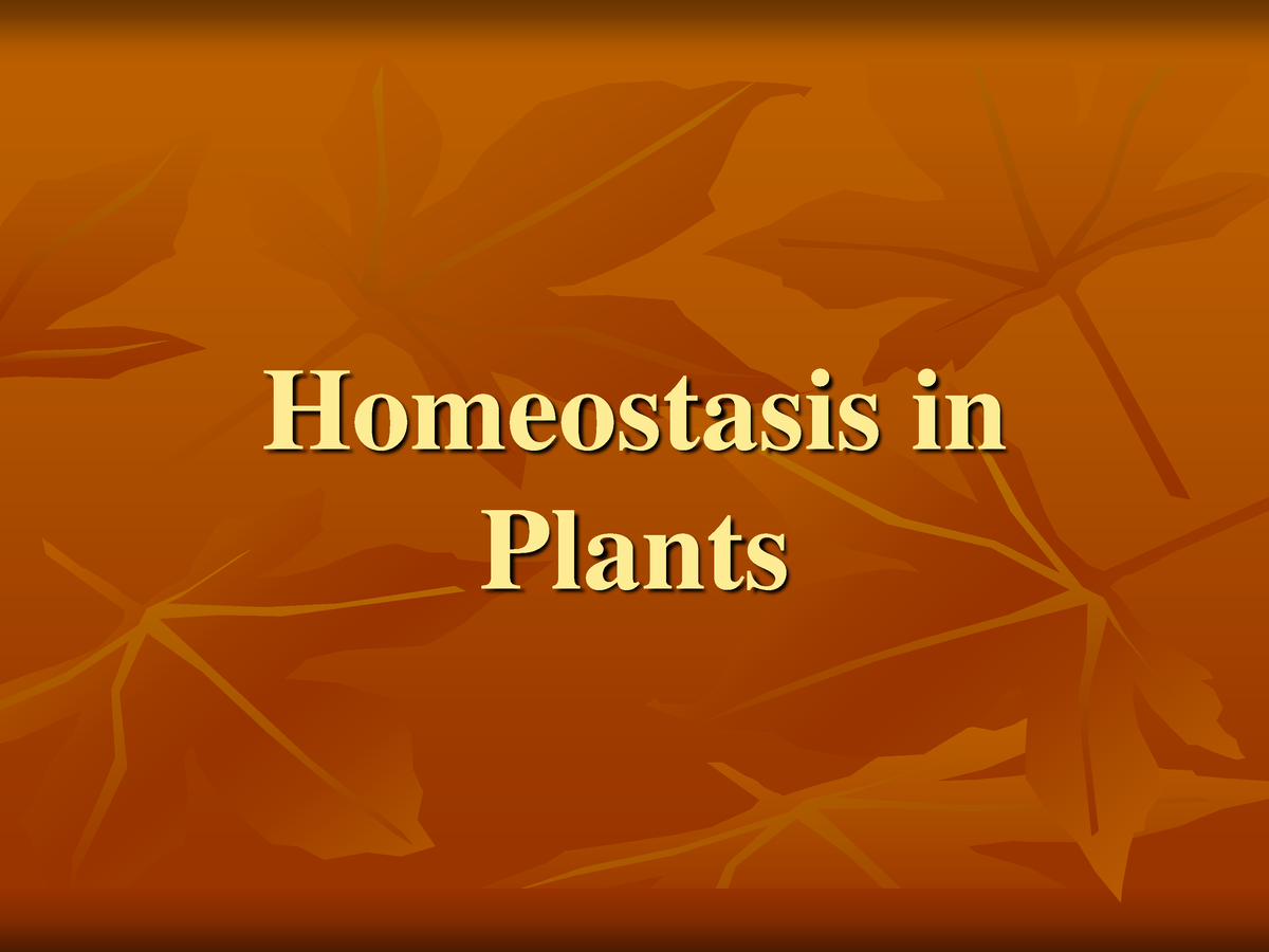 Lecture Slides Homeostasis In Plants Homeostasis In Plants Plant