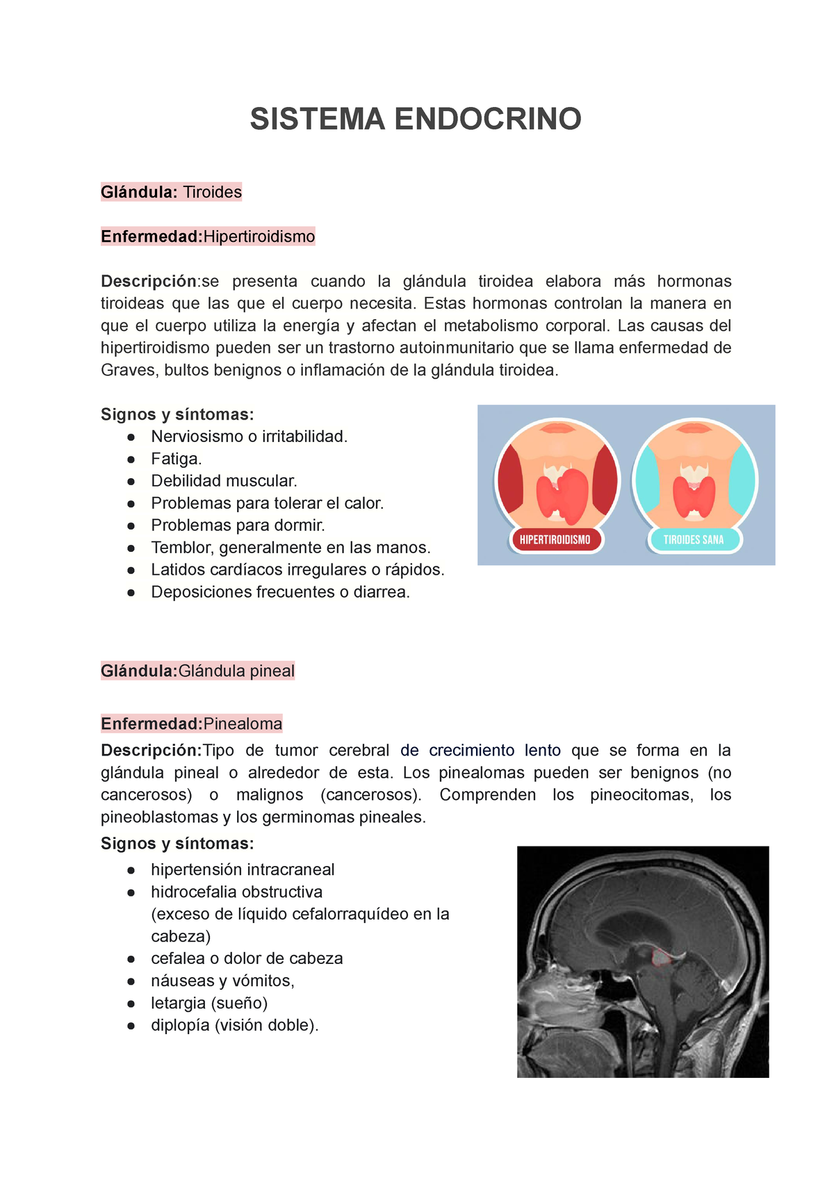 Sistema Endocrino Las Glándulas Del Cuerpo Humano Y Sus Respectivas