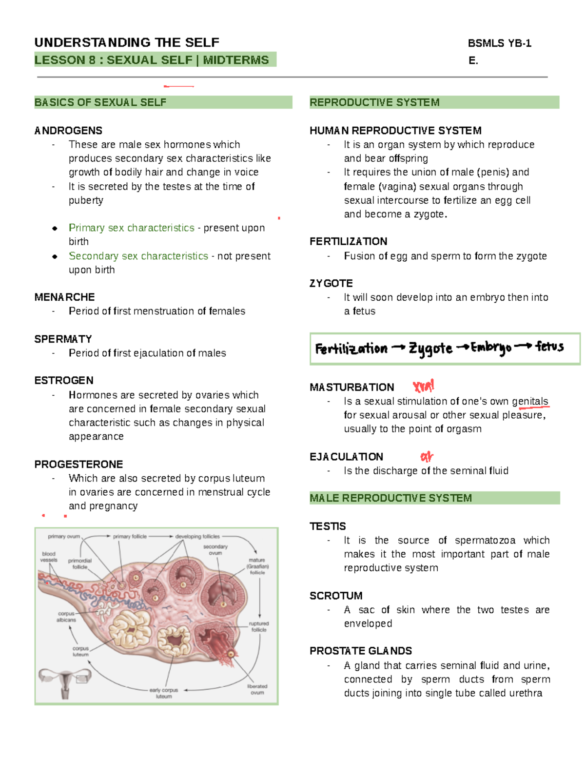 Midterms Module 8 Sexual Self Understanding The Self Bsmls