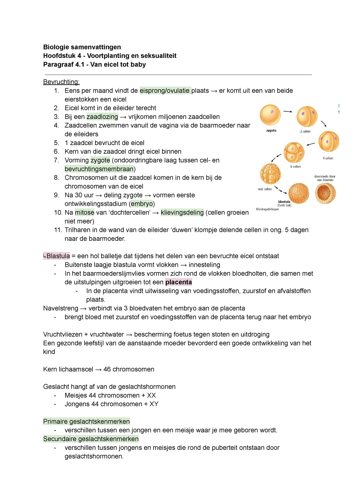 Biologie Samenvatting Hoofdstuk 4 Voortplanting En Seksualiteit