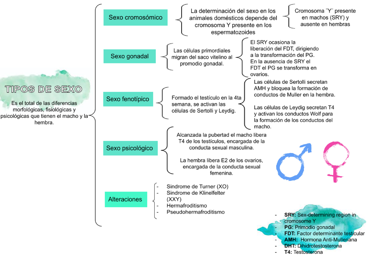 A1 Cuadro Sinóptico De Los Tipos De Sexo Fisiología De La