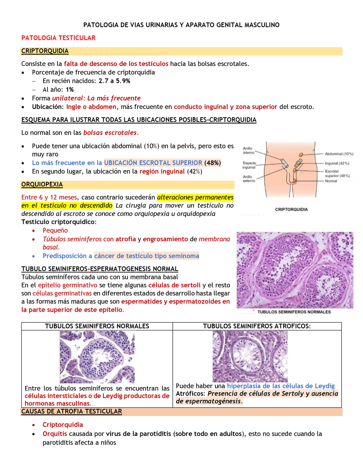 Patología De VÍas Urinarias Y Ap Genital Masculino 2 Patologia De