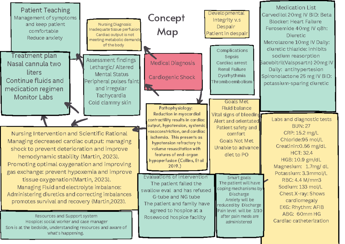 Concept Map Cardiogenic Shock Concept Map Pathophysiology Reduction