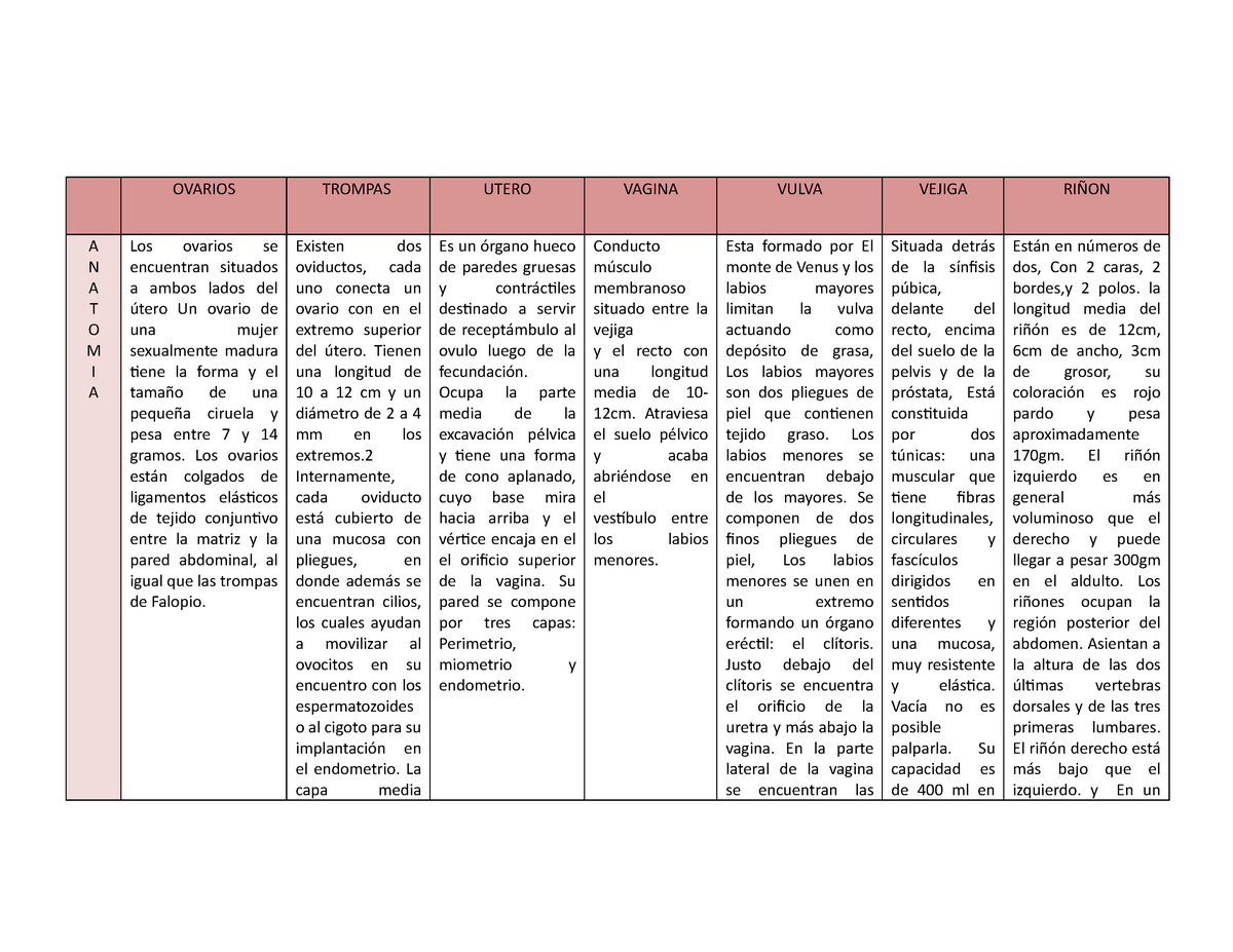 Cuadro Comparativo Genitourinario Masculino Y Femenino Ovarios