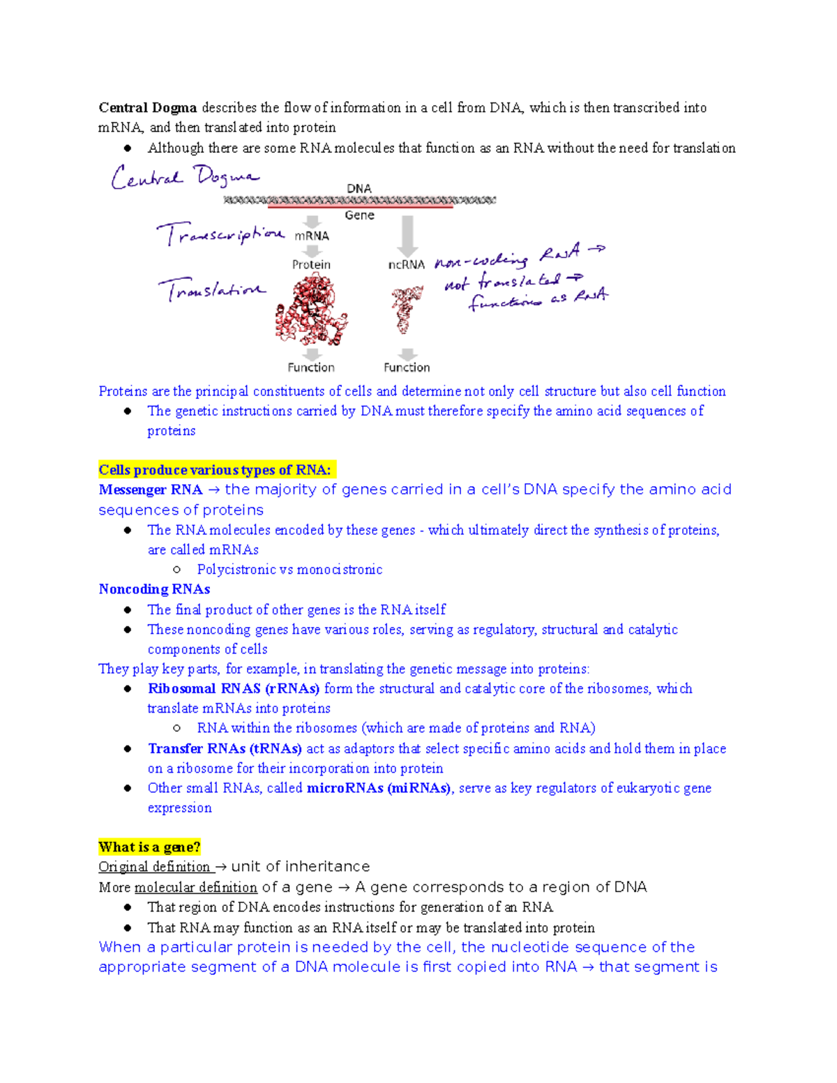 Lec 28 Prok Txn Intro Study Guide That Combines Lecture Notes And