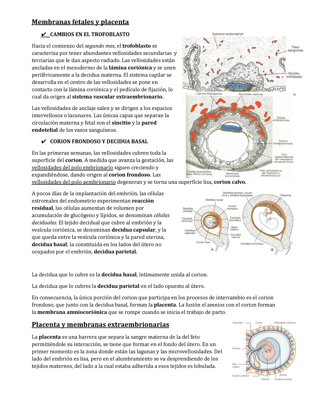 Embriología Placenta Y Membranas Fetales Membranas Fetales Y Placenta