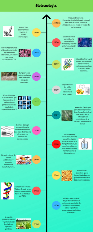 Linea Del Tiempo Biotecnologia By Albert Martinez The Best Porn Website