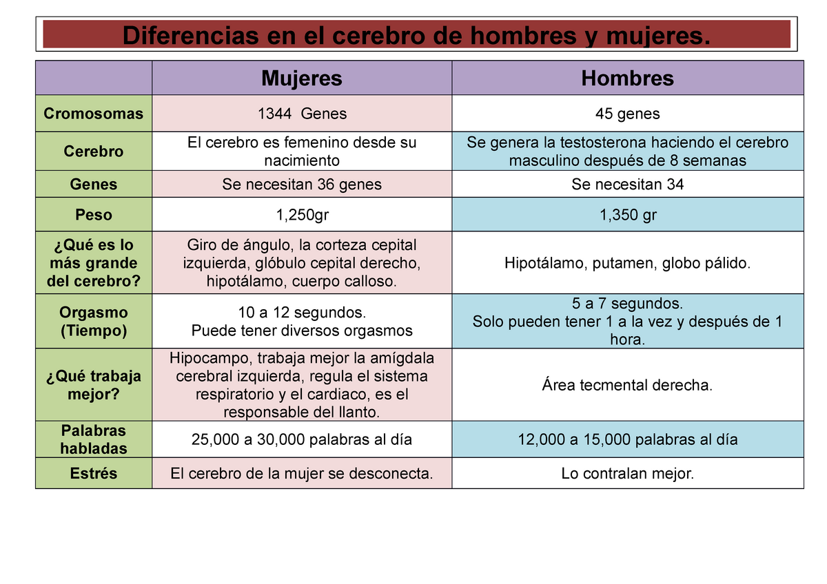 Diferencias Entre Hombres Y Mujeres Una Guía Para Niños Bonitos