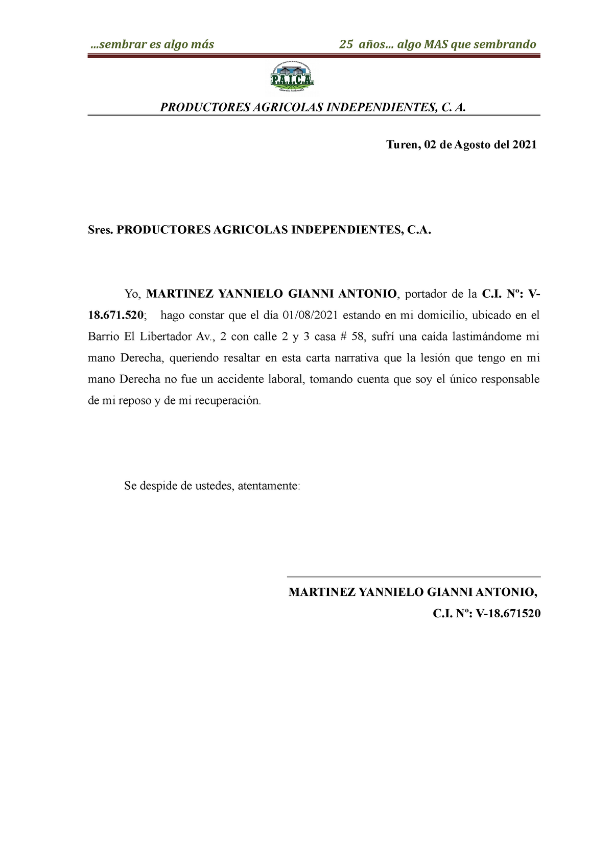 Carta De Accidente