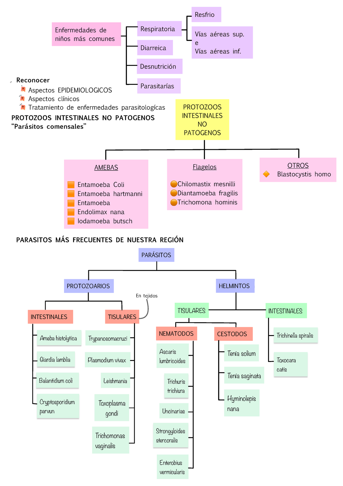 Generalidades De Parasitologia Con Ortiz ParÁsitos Protozoarios