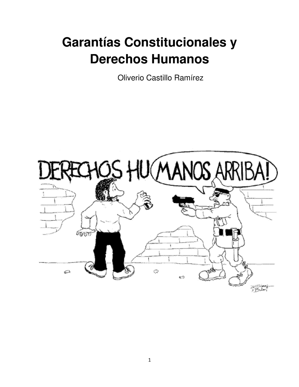 222 Garantías Constitucionales Y Derechos Humanos Garantías