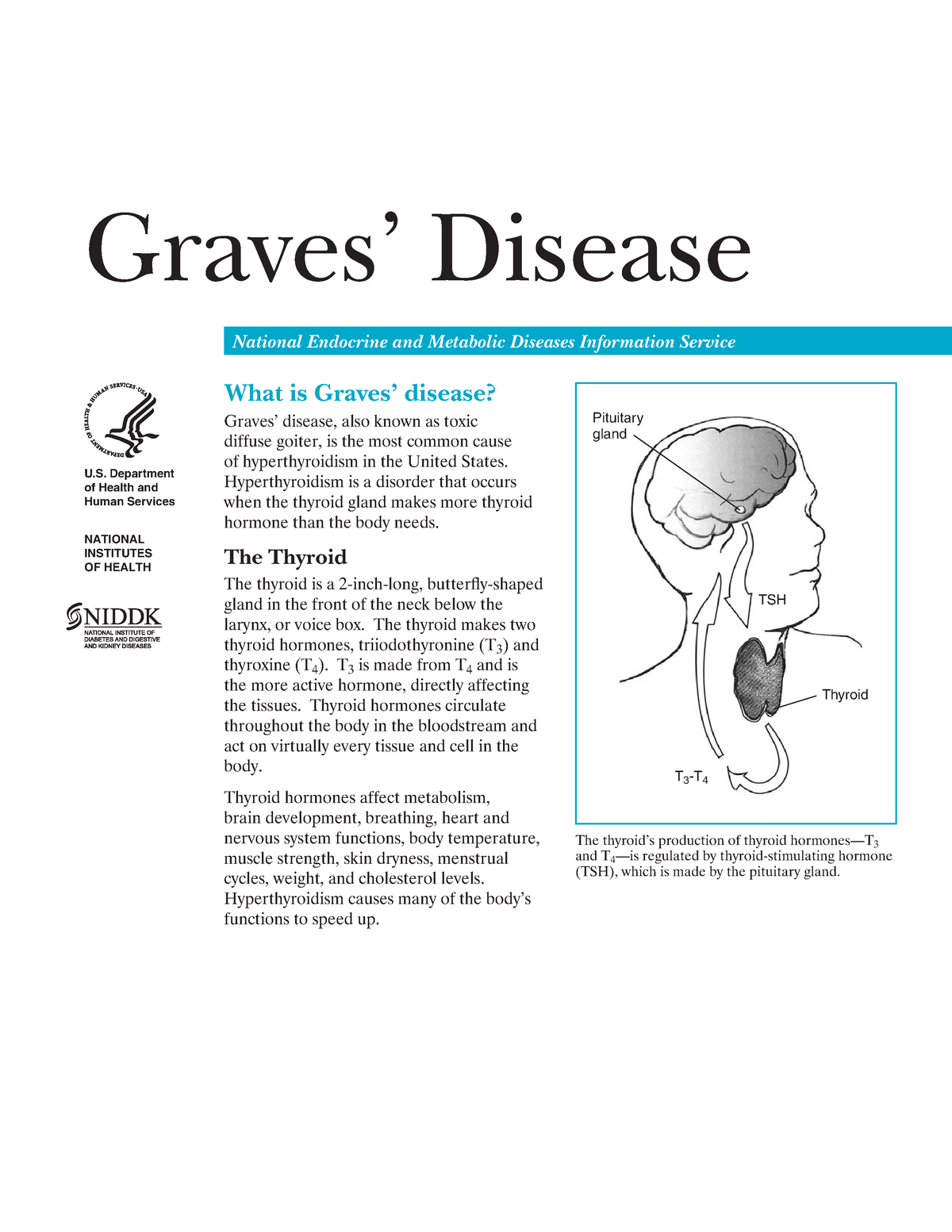 Graves 508 Good Summary Graves Disease National Endocrine And