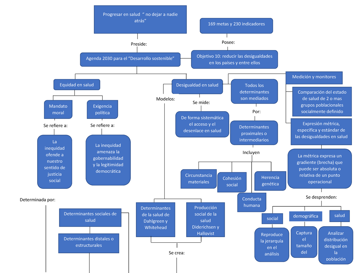 2 Mapa Conceptual Salud Publica Iii Progresar En Salud No Dejar A Hot