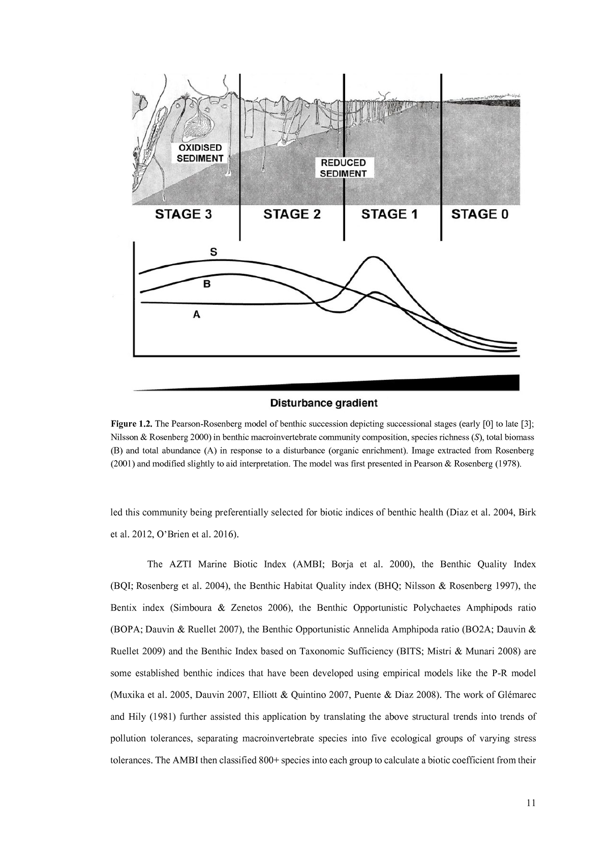 Benthic Community Structure Health And Function Of A Microtidal