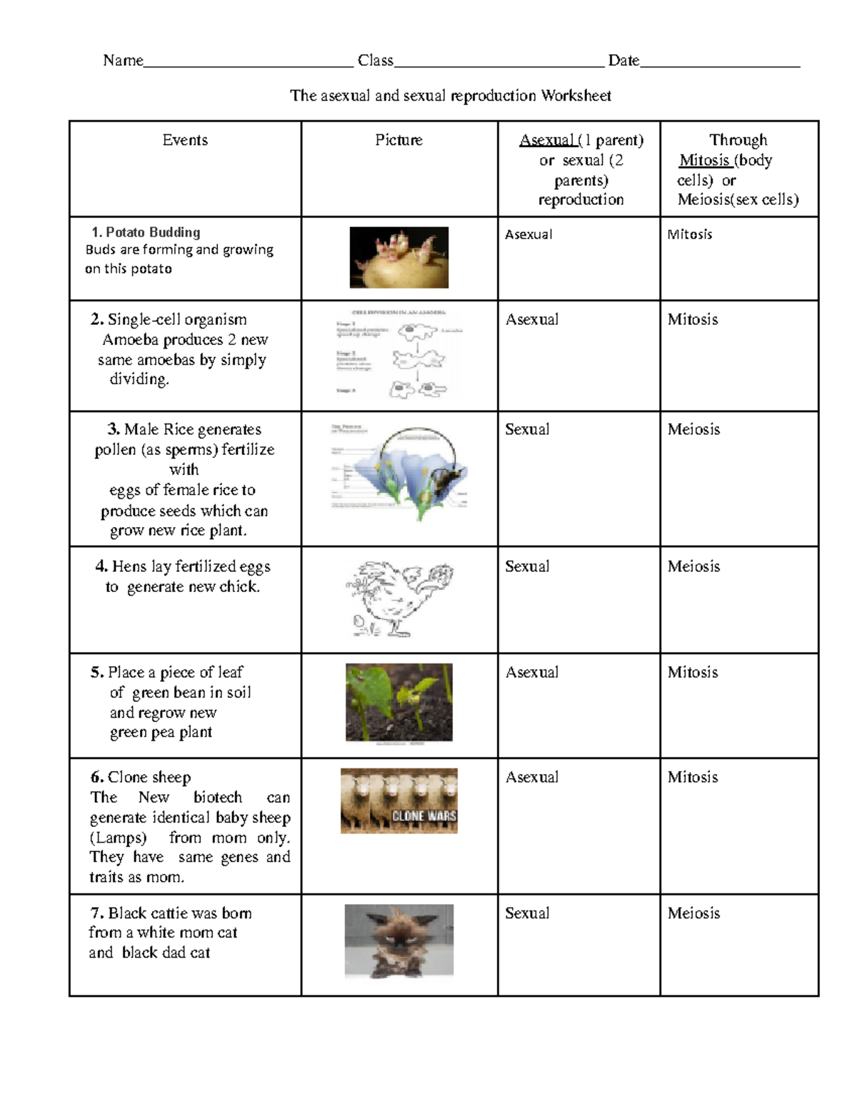 Asexual And Sexual Reproduction Worksheet Name