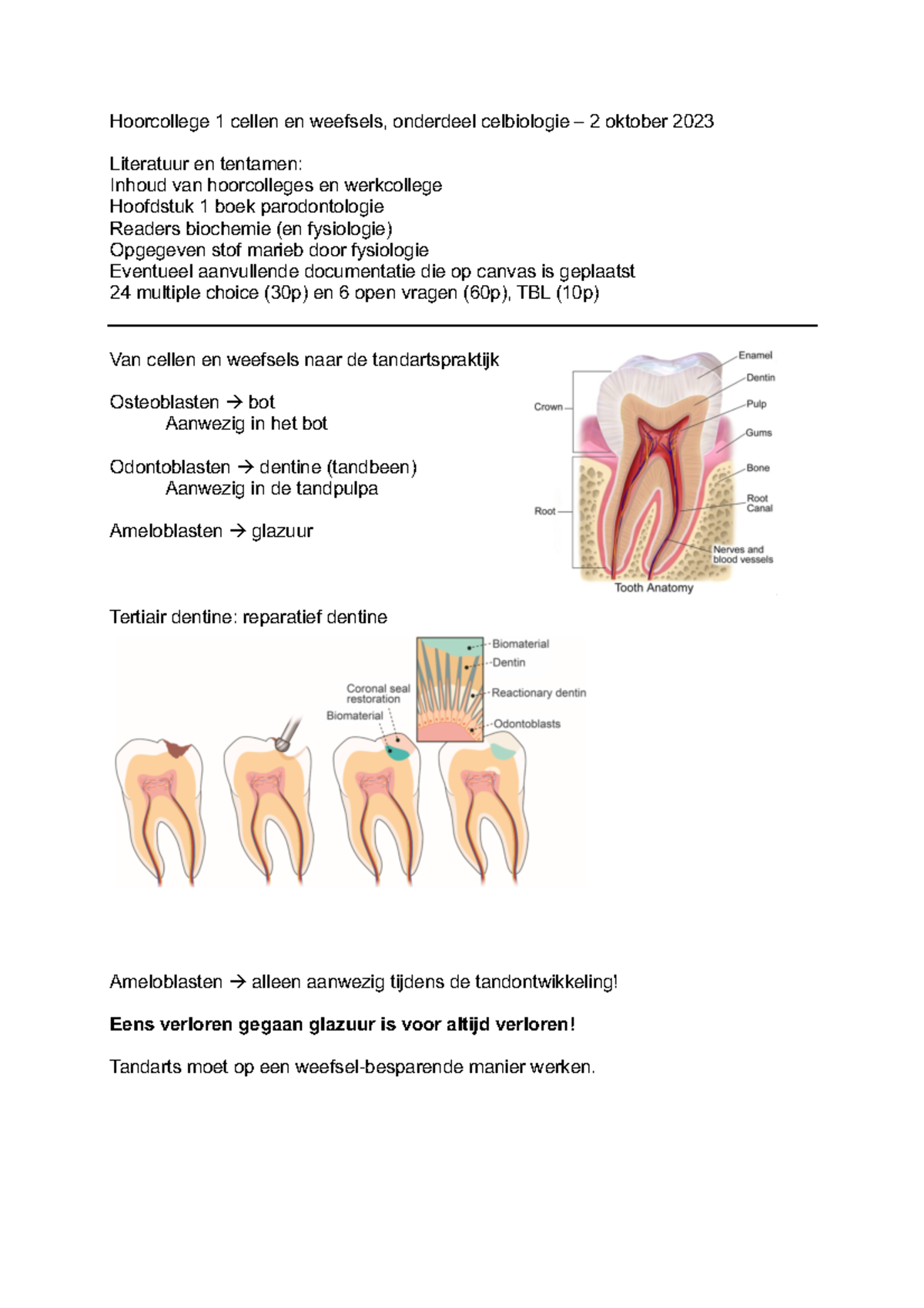 Hoorcollege 1 Histologie Hoorcollege 1 Cellen En Weefsels Onderdeel