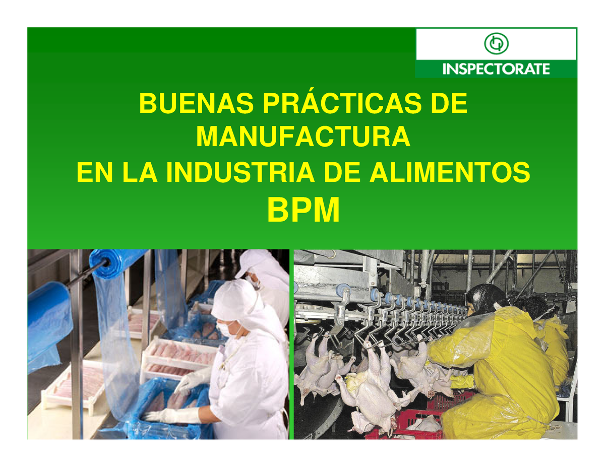 Bpm En La Industria De Alimentos Buenas PrÁcticas De Manufactura En