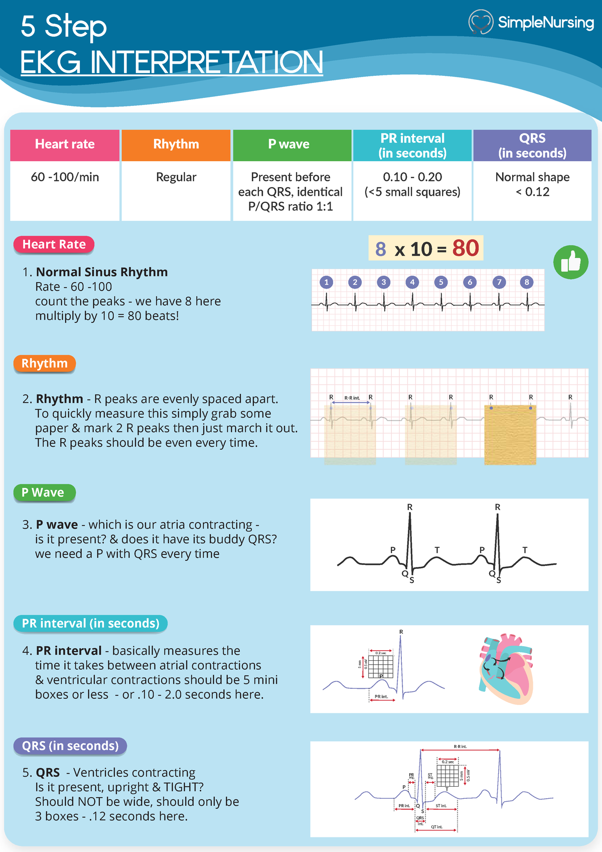 5 Step Ekg Interpretation 5 Step Ekg Interpretation Heart Rate Rhythm