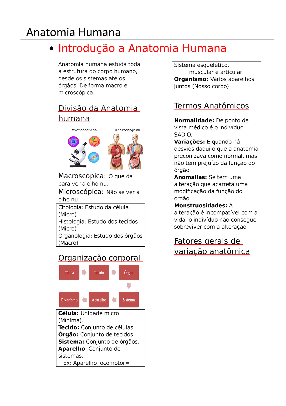 Introdução Anatomia Humana Resumo Anatomia Humana Introdução A