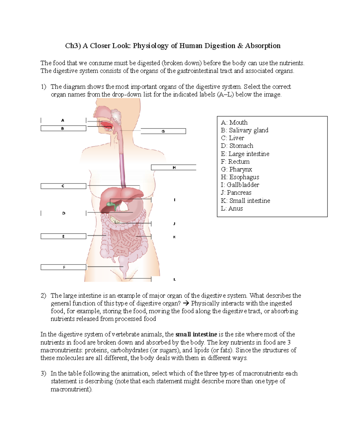 Ch3 A Closer Look The Digestive System Consists Of The Organs Of The