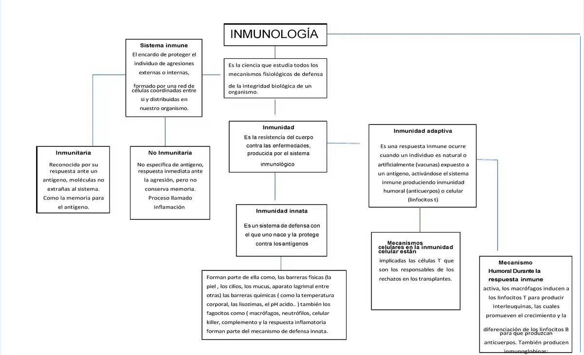 Pdf Mapa Conceptual Sobre La Inmunologia Sistema Inmune El Encardo De