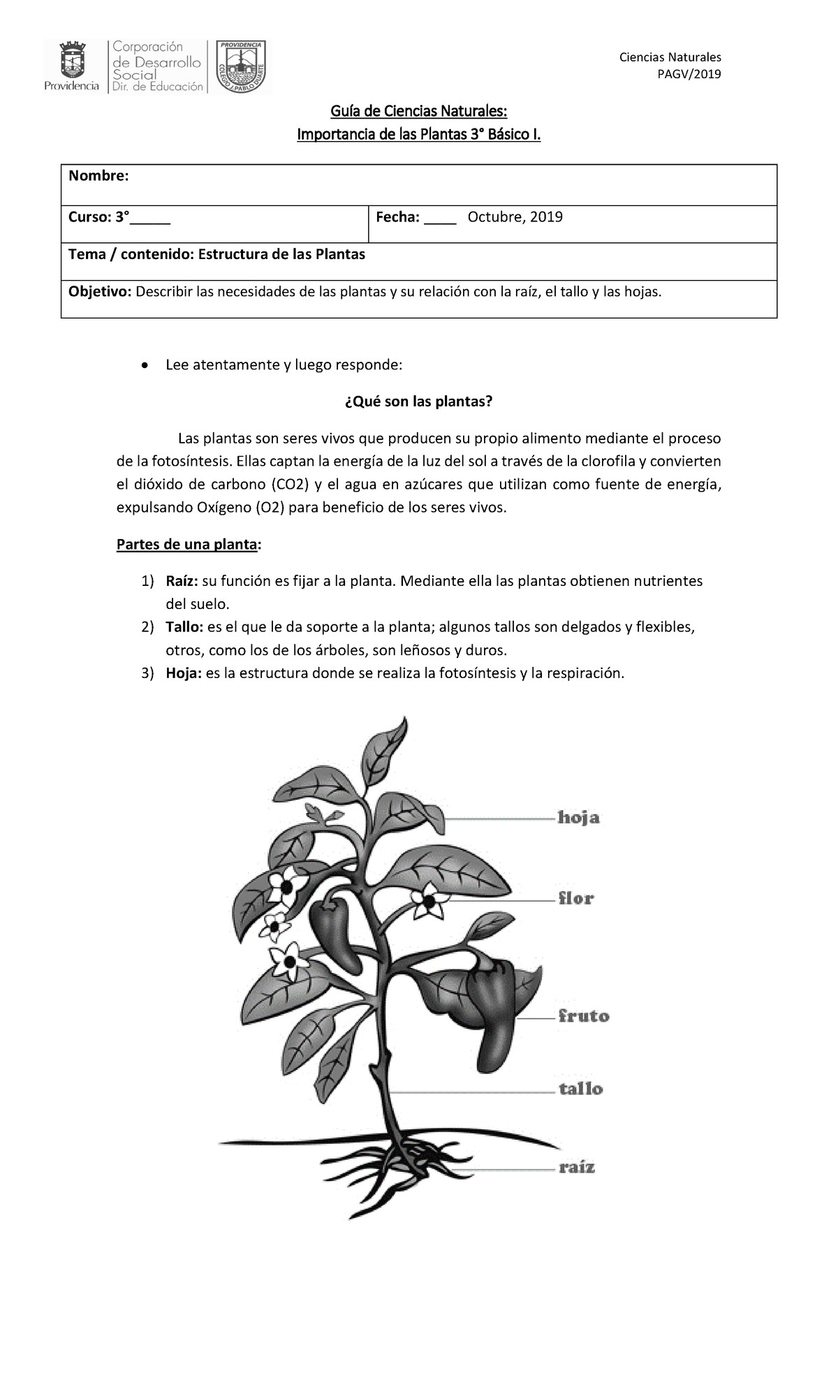 Ciencias Ciencas Ciencias Naturales Pagv GuÌa De Ciencias