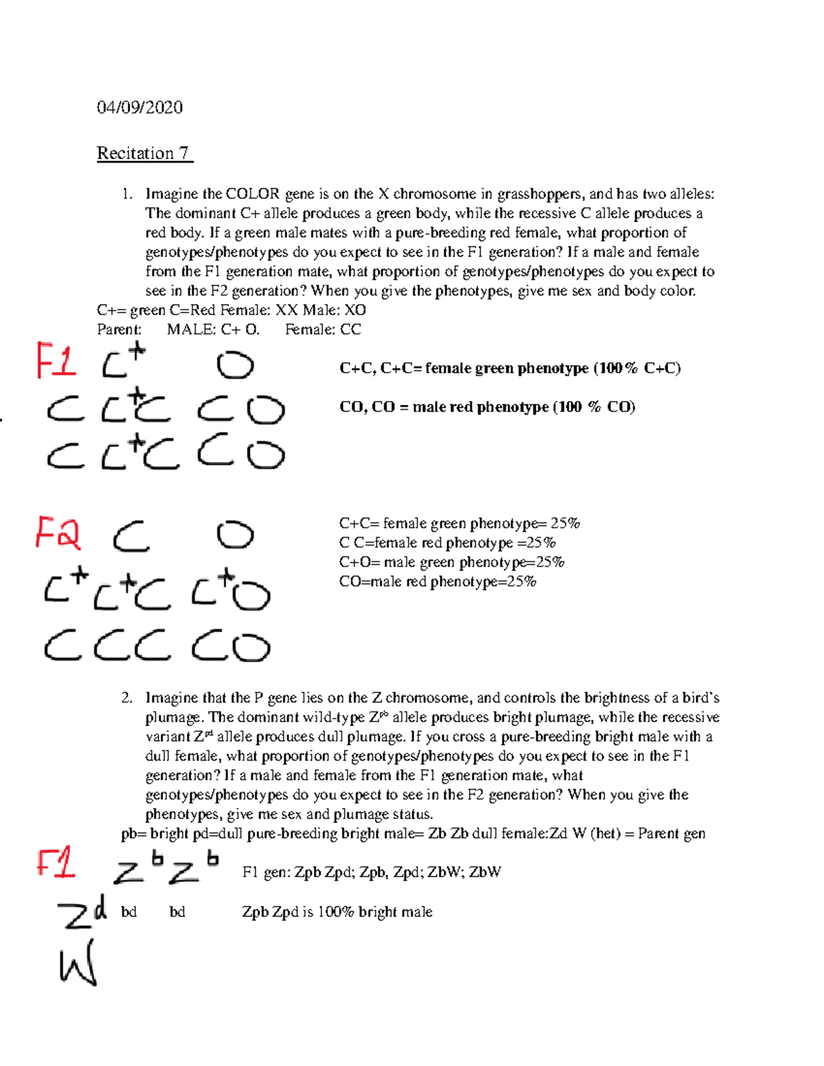 Recitation 7 Sex Linked Genotypephenotype 0409 Recitation 7