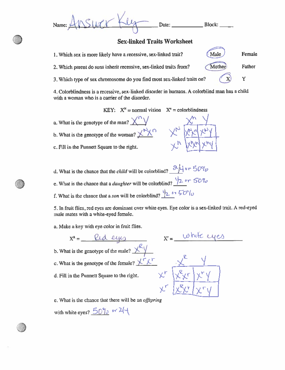 43 Sex Linked Traits Worksheet Answer Key Worksheet Master