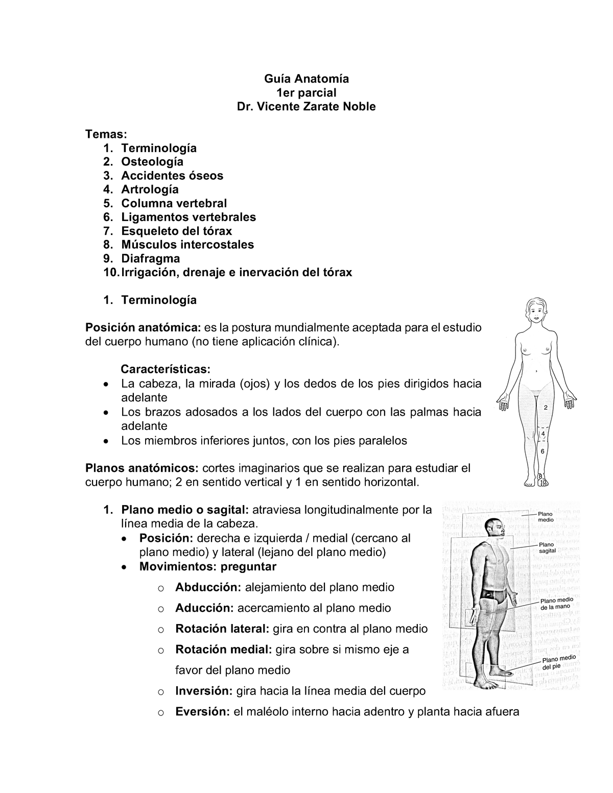 Modelo De Examen Guia De Repaso Parcial Anatomia Y Fi