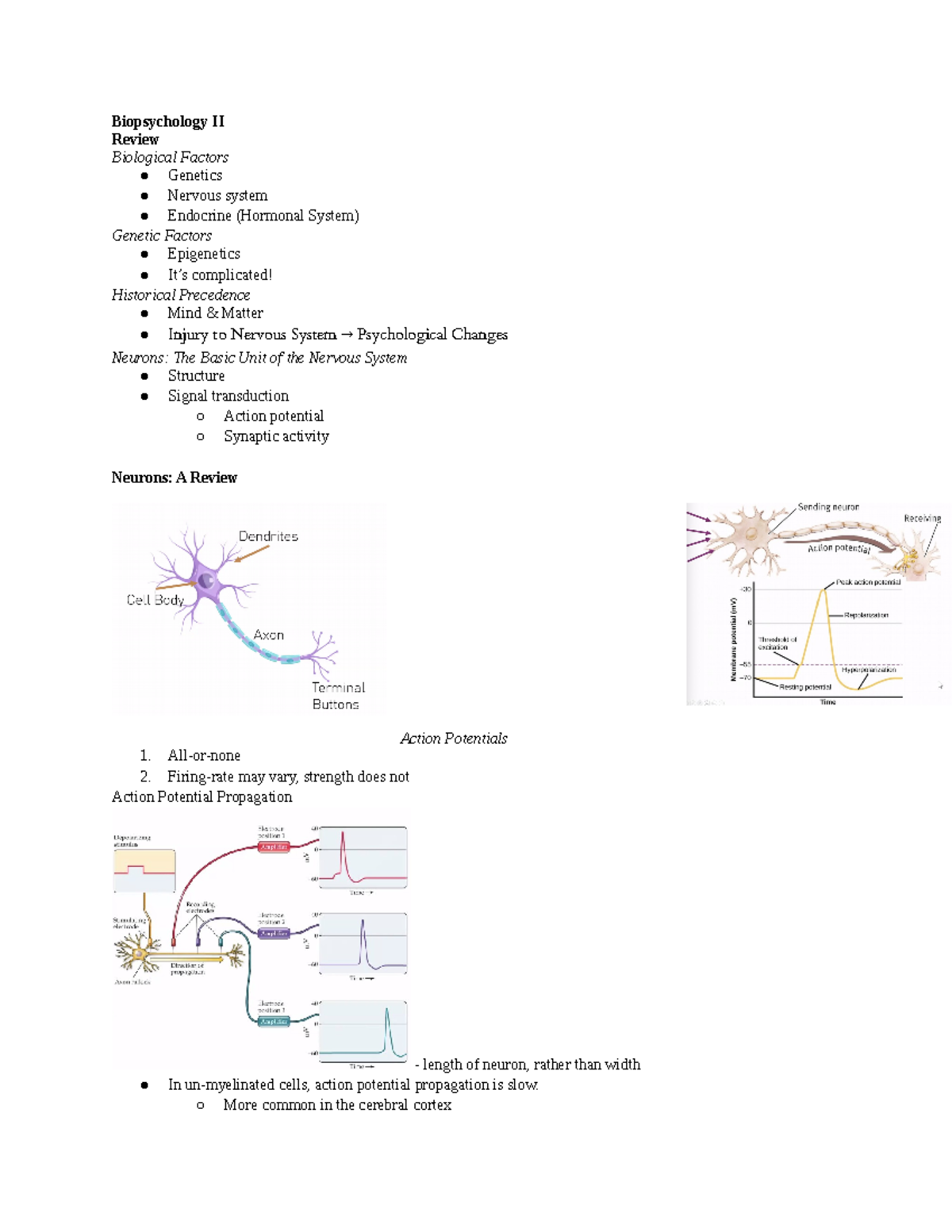 Biopsychology Ii 9 7 Lecture Notes From Psyc 001 Biopsychology Ii