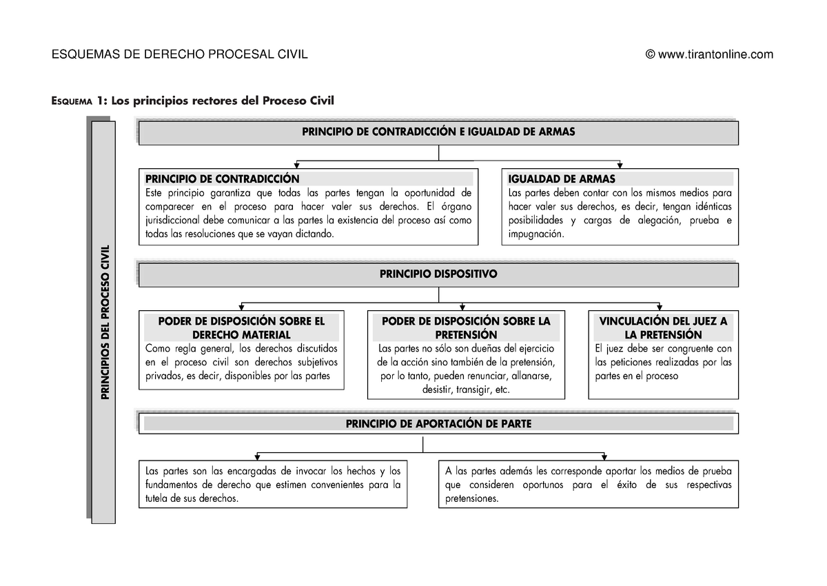 Principios Del Proceso Civil Esquemas De Derecho Procesal Civil