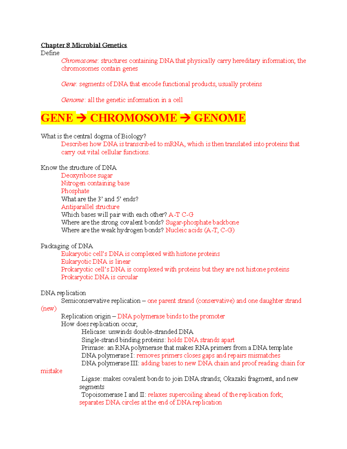 Chapter 8 From Dna To Protins Unit 8 Chapter 8 From Dna To Proteins