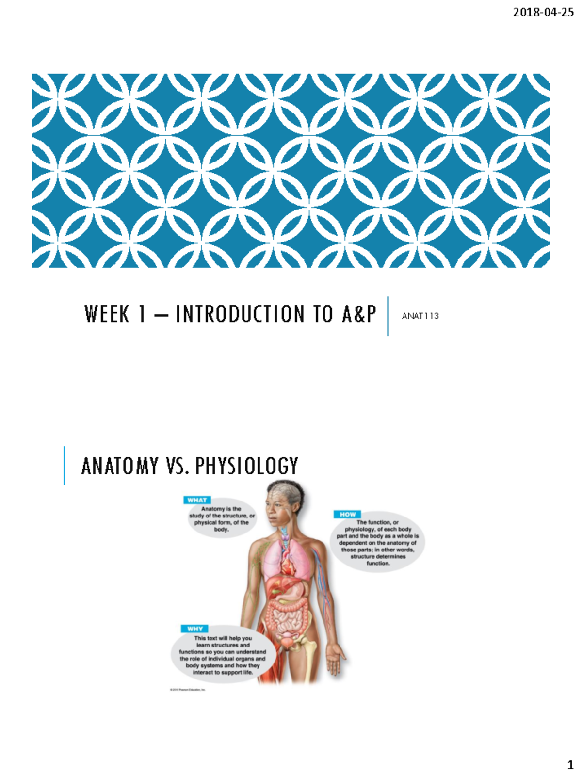 Week 1 Introduction To Aandp Notes Pdf Warning Tt Undefined