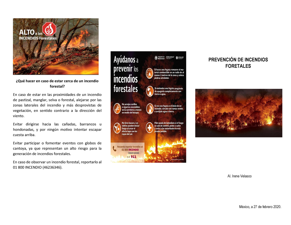 Triptico Prevención De Incendios Warning Tt Undefined Function 32