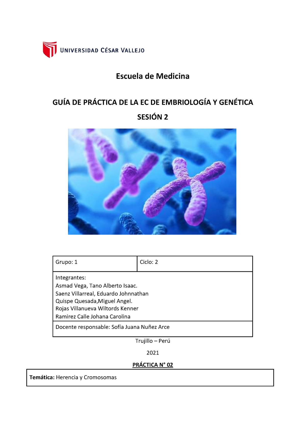 Embriologia Sesion 02 Práctica Resuelta Embriología Y Genética