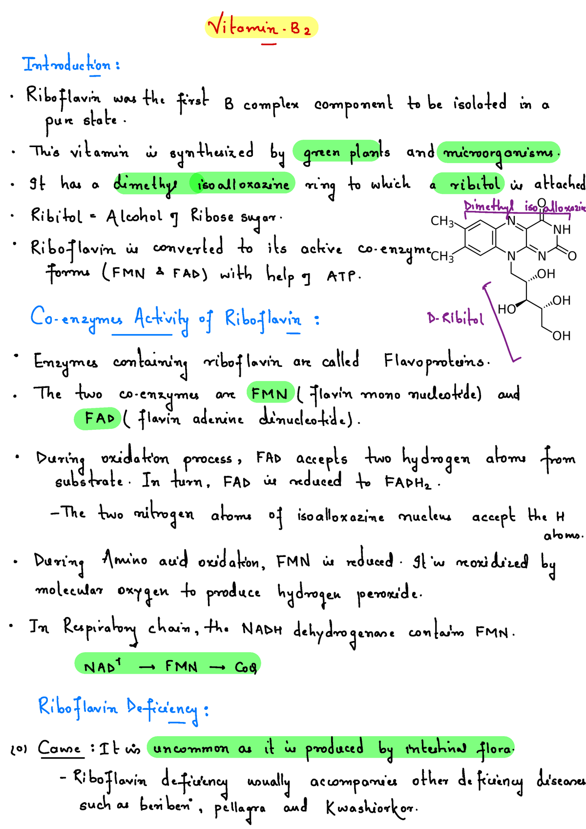 Water Soluble Vit B2 Lecture Notes Based Off Of In Class Discussion