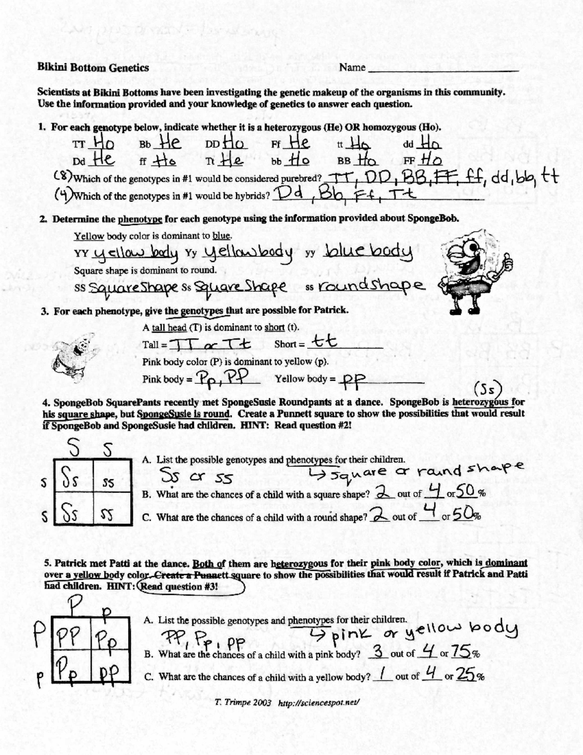 Bikini Bottom Genetics Answer Keys 155ddy1 Studocu